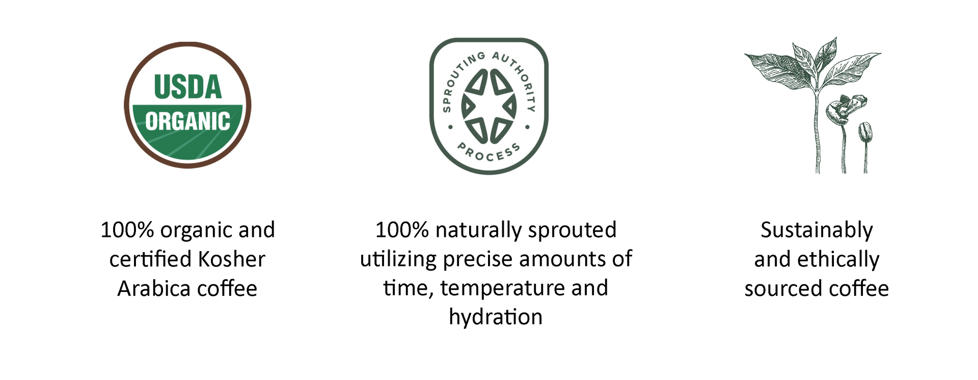 Why Sprouted Organic Coffee? – Java Trading