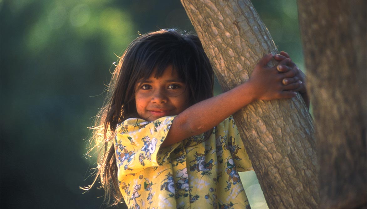 About Us – Java Trading